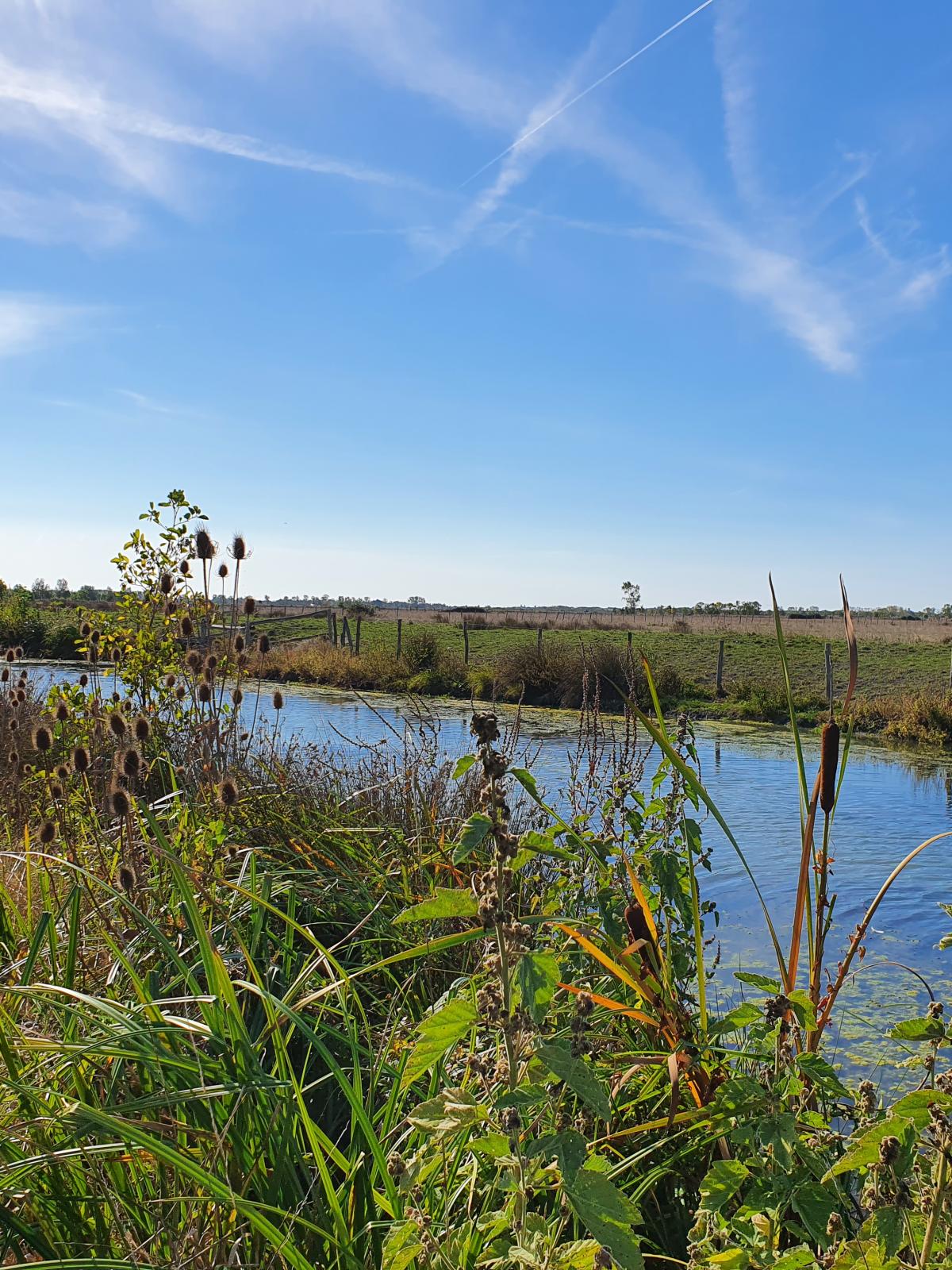 Réveillon St Sylvestre (Les Velluire-sur-Vendée) | Pays de Fontenay ...